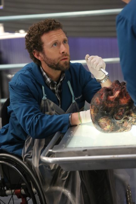 20 Things We Bet You Didn’t Know About ‘Bones’