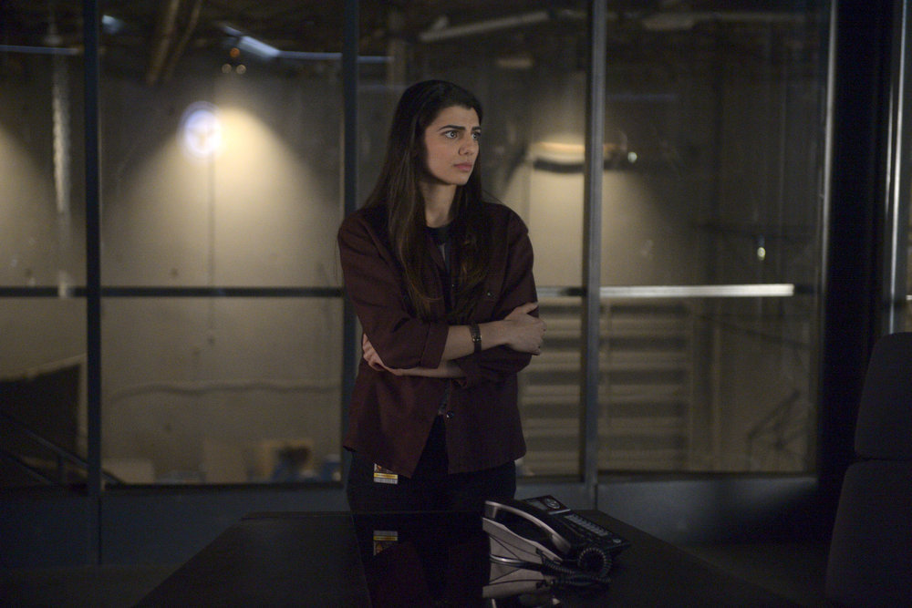 Timeless Photo Preview: Going Rogue