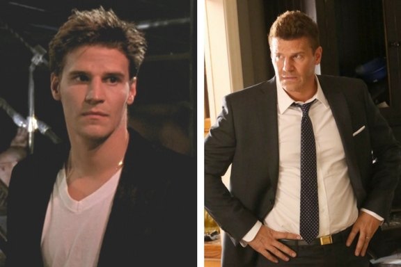 15 Former Teen Idols Who are Killing It on Primetime