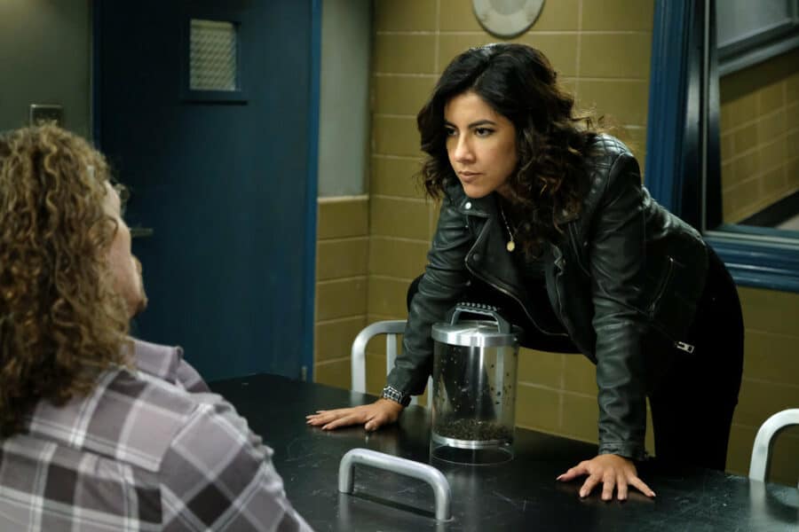 20 Toughest Law Enforcement Agents on Television