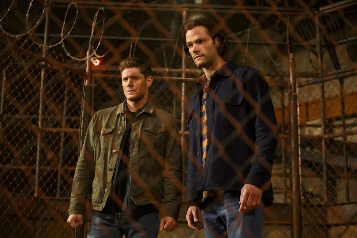 20 Terrific TV Sibling Relationships | Tell-Tale TV
