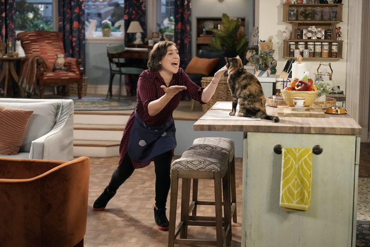 Call Me Kat Review: Plus One (Season 1 Episode 1)