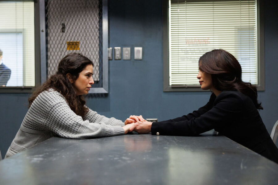 Law & Order Season 22 Episode 10 Review: Land of Opportunity