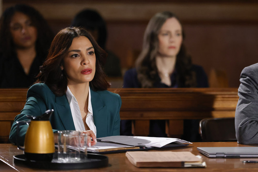 Preview — Law & Order Season 23 Episode 6: On the Ledge
