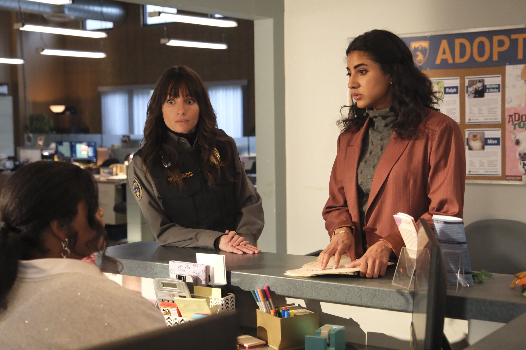 Animal Control Season 2 Episode 3 Review: Tortoises and Labradors