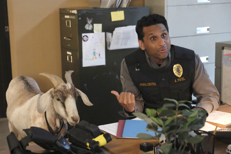 Animal Control Season 3 Episode 3 Review: Goats, Snakes, and Dogs