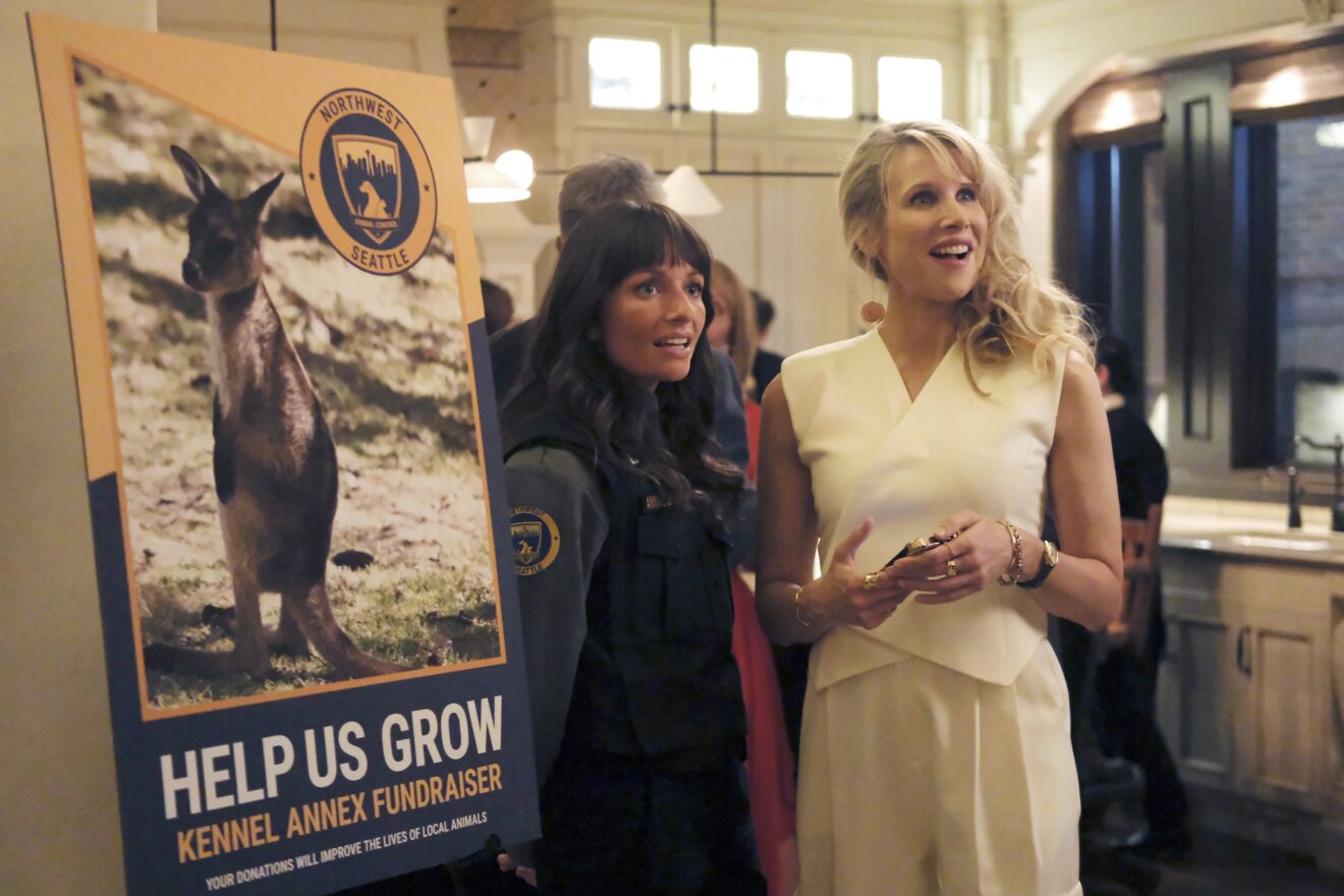 Animal Control Season 3 Episode 4 Review: Baby Kangaroos and Chickens