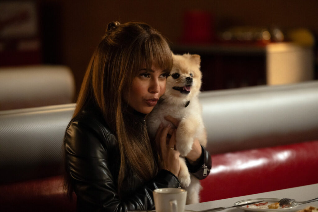 Wild Cards Season 2 Episode 5 Review: Catch Me If You Con