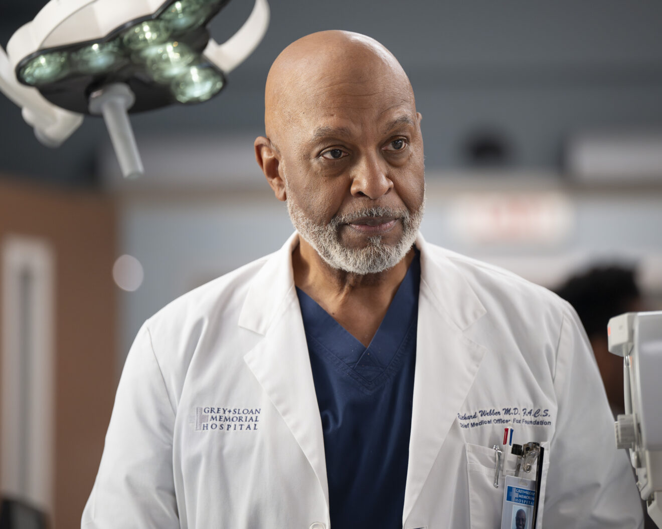 What to Expect from Grey’s Anatomy Season 21 Episode 17: Love You Like ...