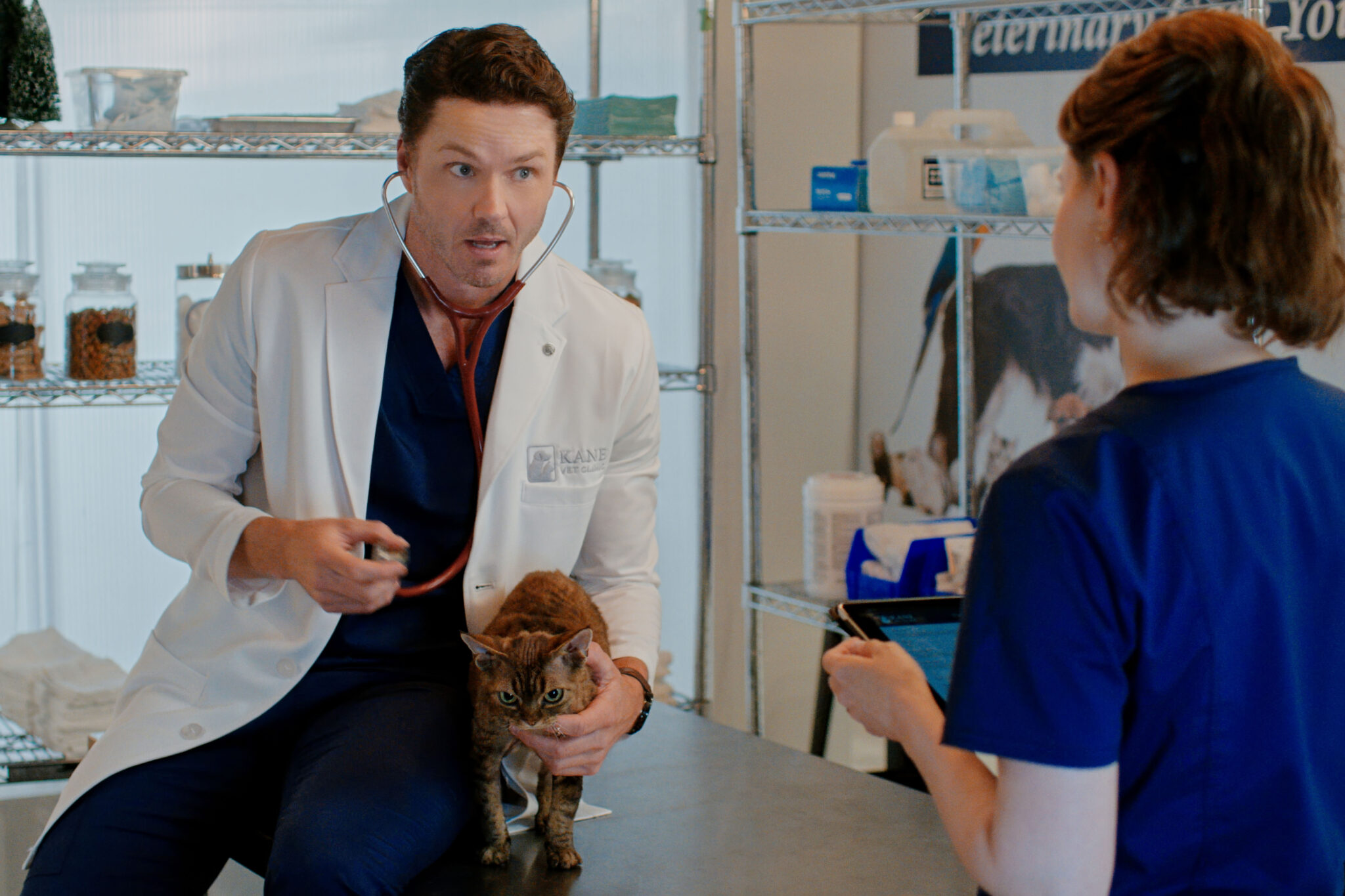 Christmas at the Catnip Cafe Review: Purrfectly Charming