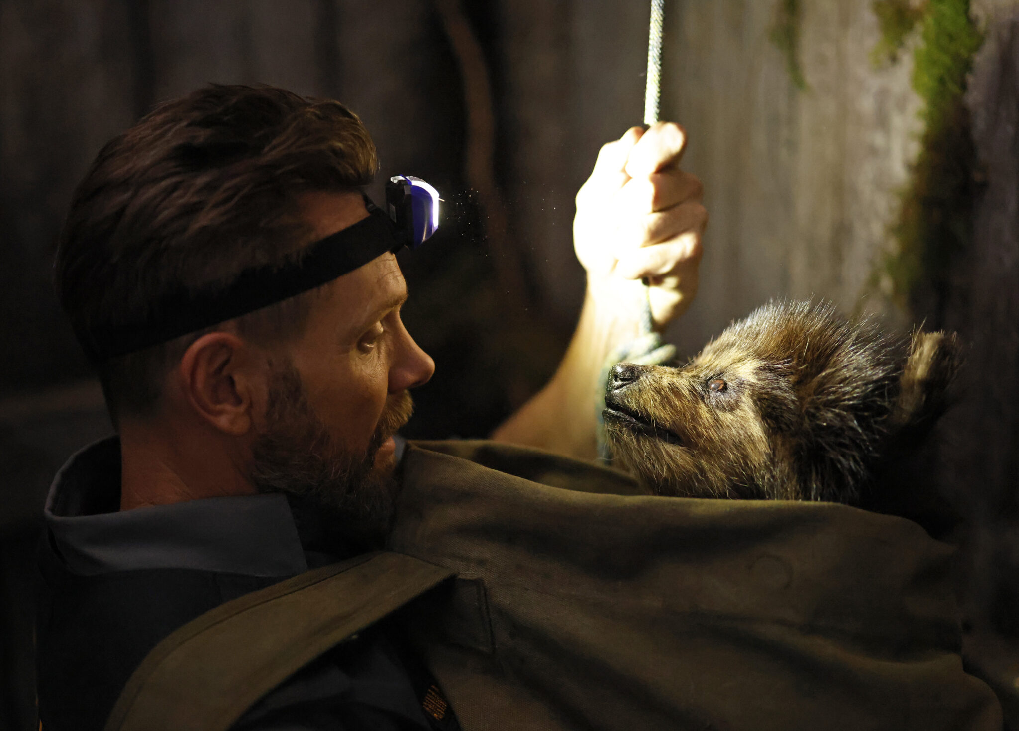 S04.E01: Bear Cubs and Broncos - Animal Control - PRIMETIMER