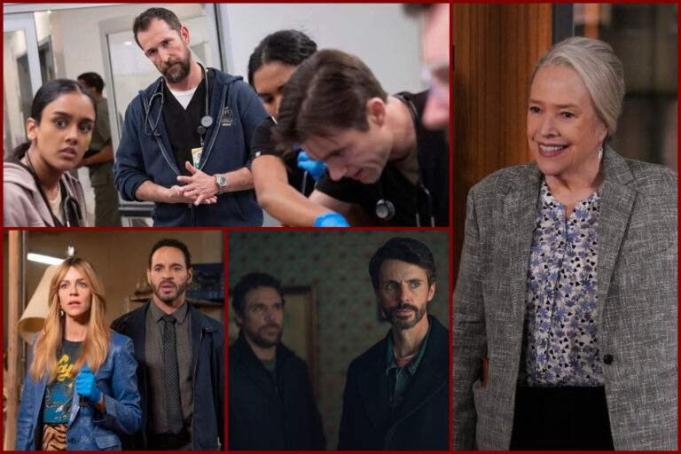 15 Best TV Dramas of 2025: The Pitt, High Potential, Matlock, and More