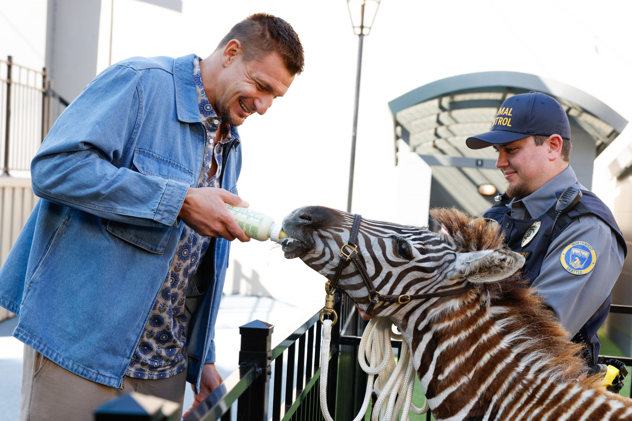 Animal Control Season 4 Episode 3 Review: Dragons and Dognappers